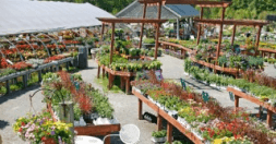 Mahoney's Garden Centers, MA - Mahoney's Garden Centers (8 locations)
