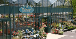 Mahoney's Garden Centers, MA - Mahoney's Garden Centers (8 locations)