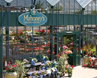 Concord Garden Center | Mahoney's Garden Center