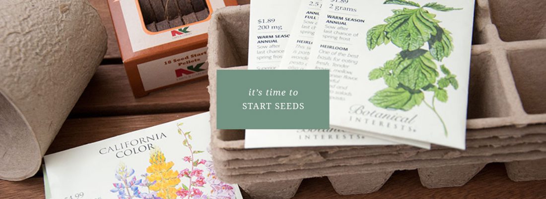 How to Kickstart Your Garden: Seed Starting Tips for New Englanders ...
