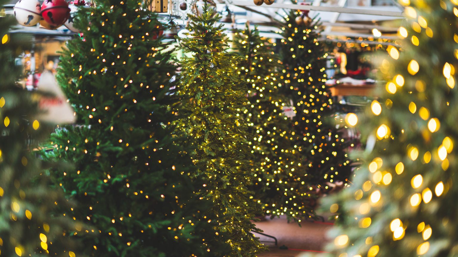 Your Lifelike Christmas Tree: Assembly, Care and Storage - Blog ...