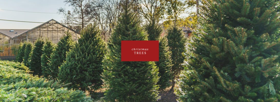 Mahoney's Garden Center - Your Home for Plants & Garden Supplies in MA