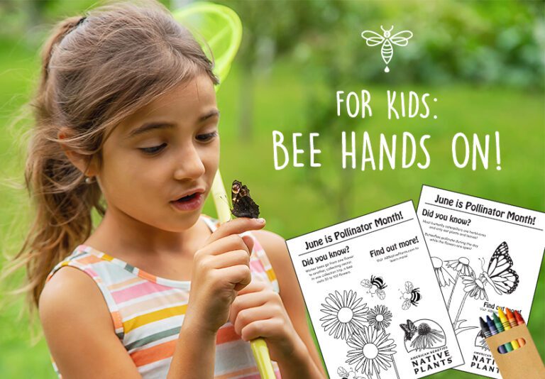 Pollinators - Mahoney's Garden Center