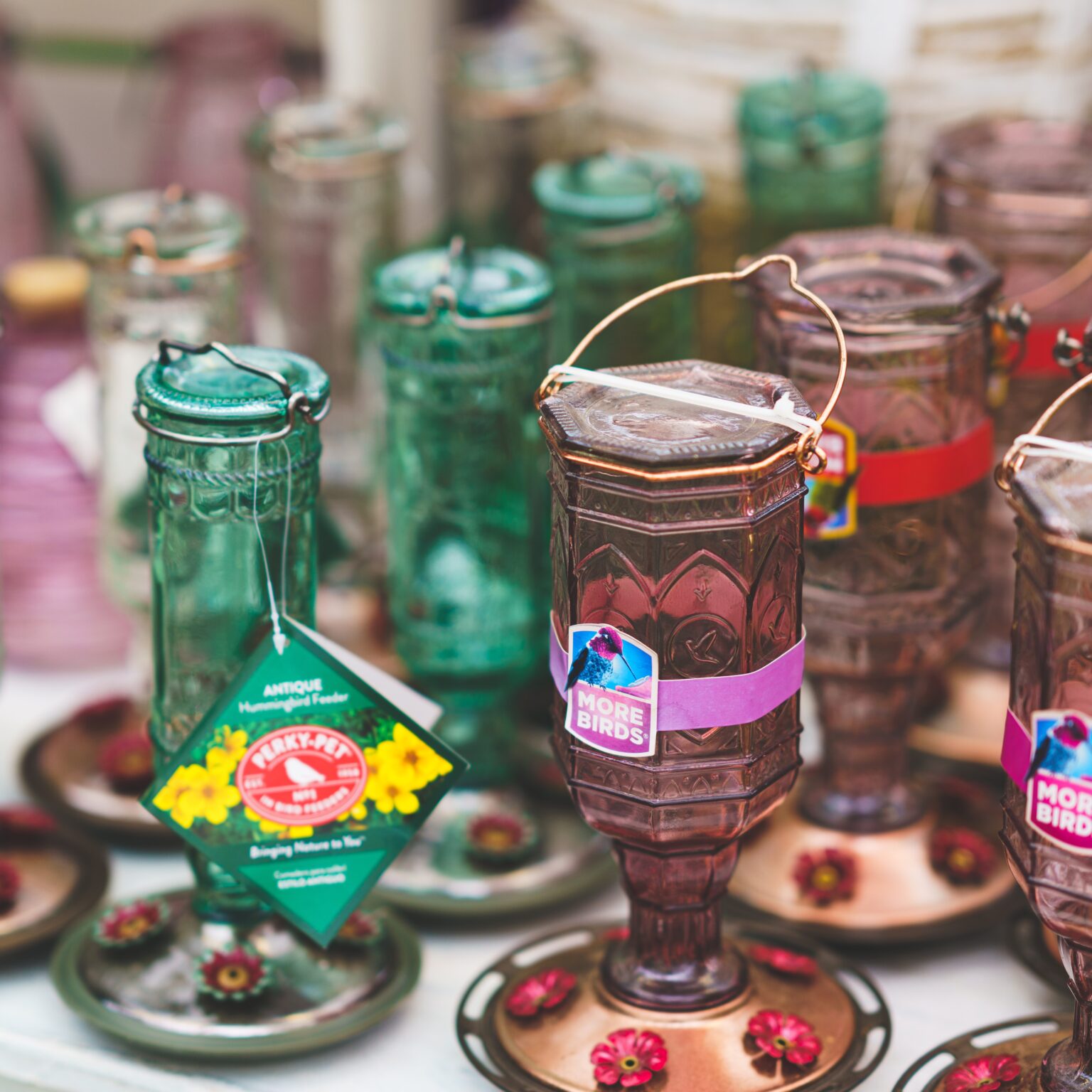 When to Put Out Hummingbird Feeders in New England - Mahoney's Garden ...