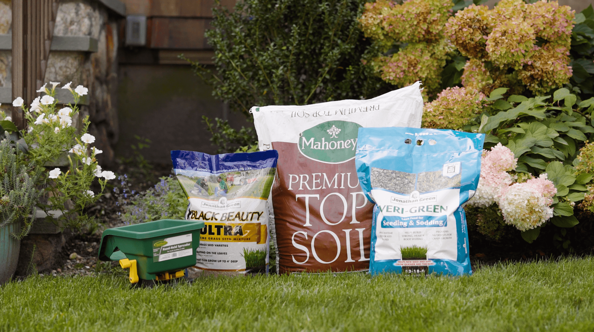 Fall Seeding in New England Explained - Mahoney's Garden Center