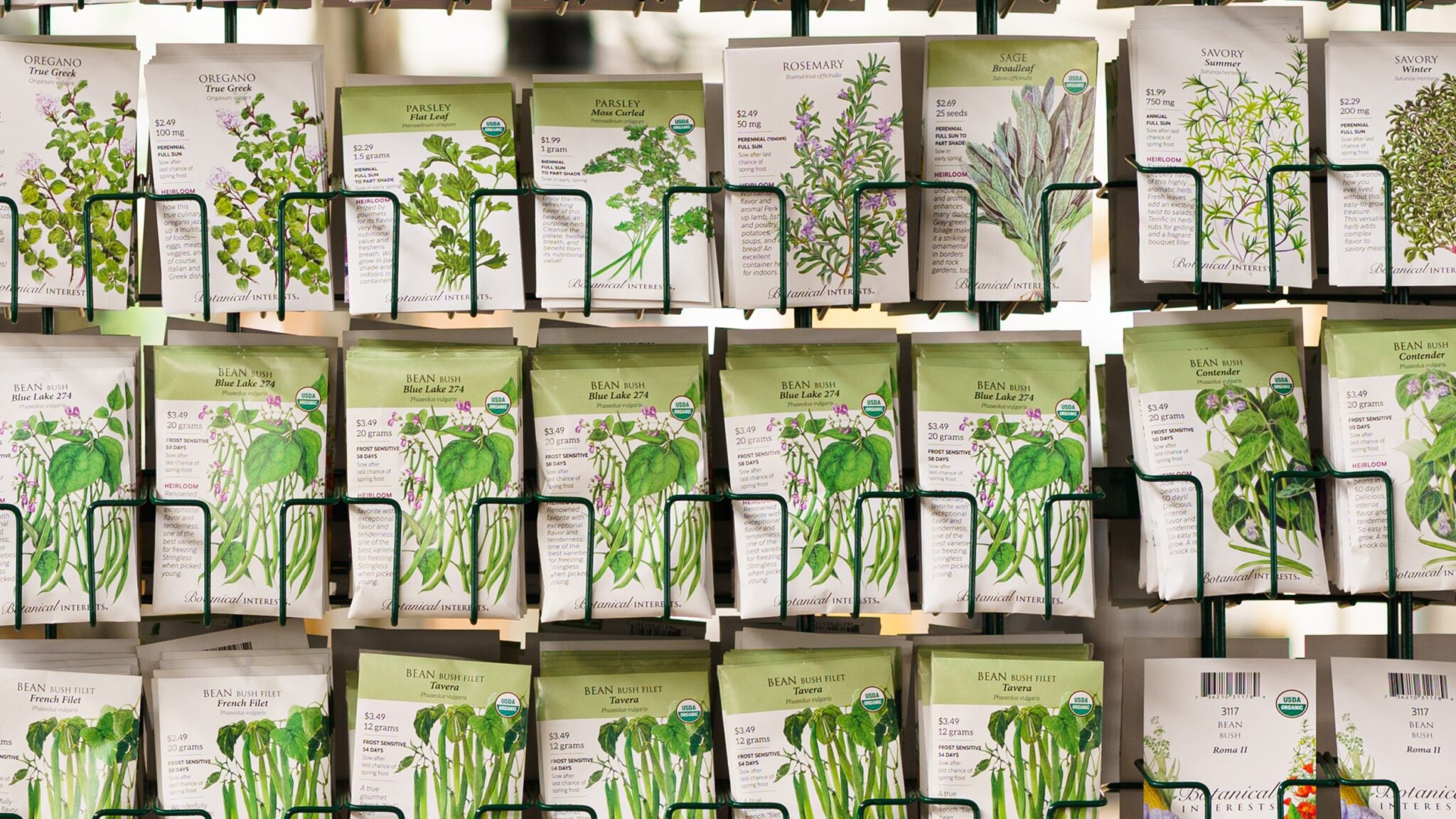 How to Kickstart Your Garden: Seed Starting Tips for New Englanders ...