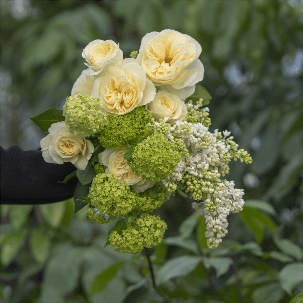 Sympathy & Memoriam Flowers - Mahoney's Garden Center