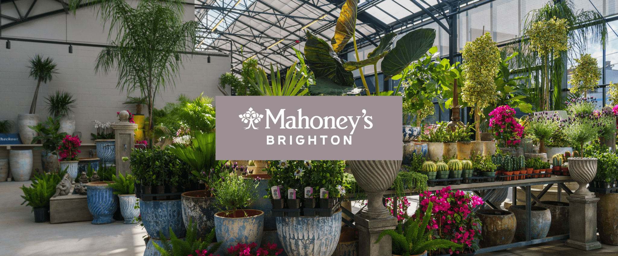 Brighton Garden Center | Mahoney's Garden Center