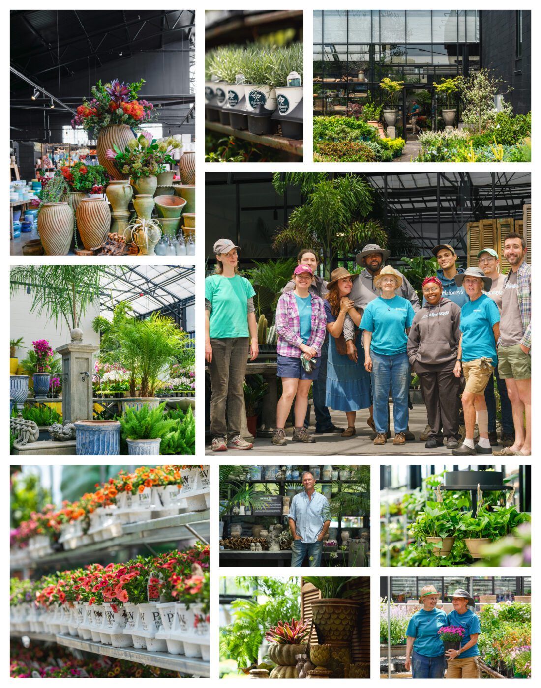 Brighton Garden Center | Mahoney's Garden Center