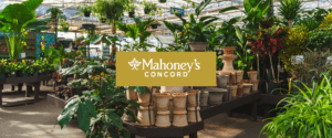 Concord Garden Center | Mahoney's Garden Center