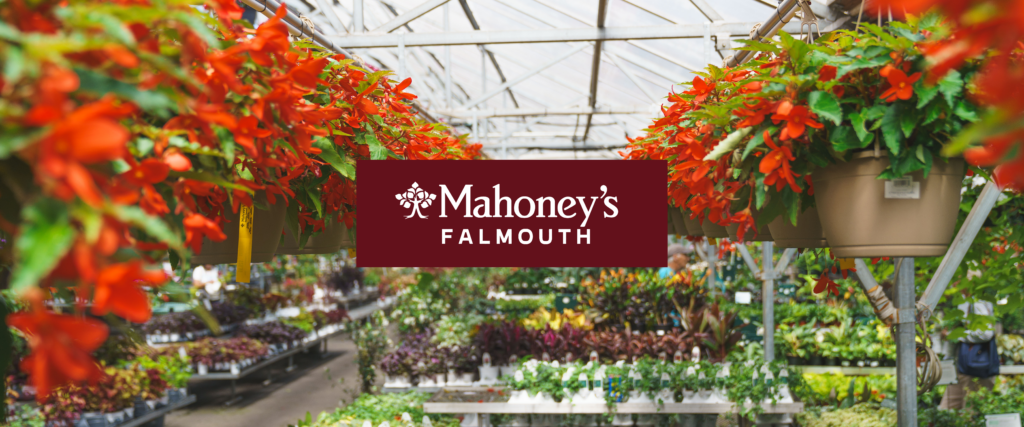 Falmouth Garden Center | Mahoney's Garden Center