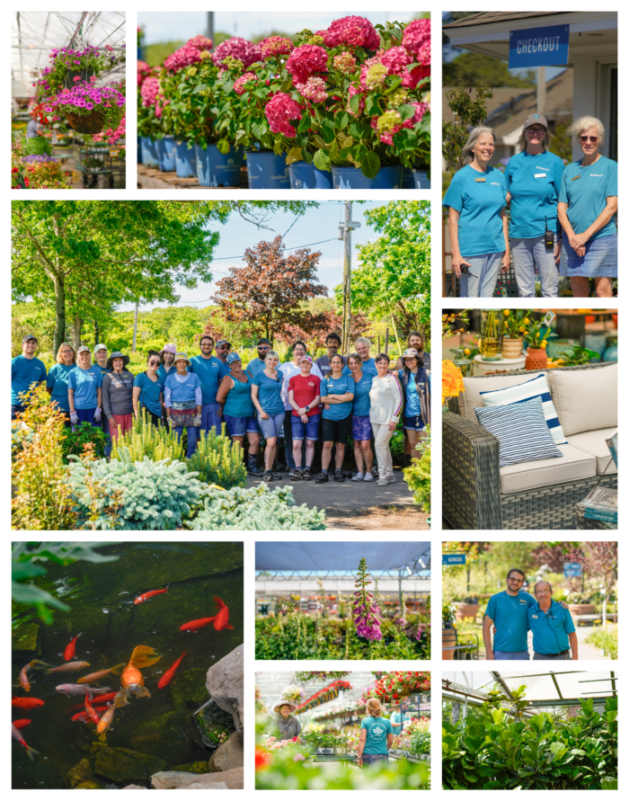 Falmouth Garden Center | Mahoney's Garden Center