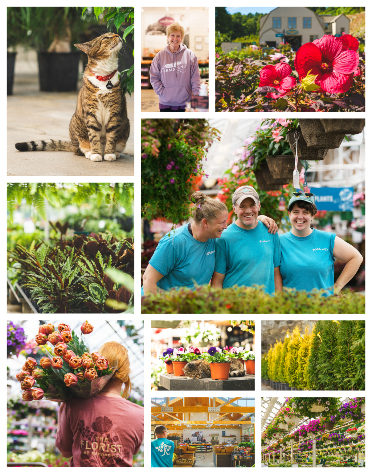 Winchester Garden Center | Mahoney's Garden Center | Florist