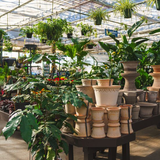 Mahoney's Garden Center Locations | Mahoney's Garden Center
