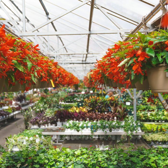 Mahoney's Garden Center Locations | Mahoney's Garden Center