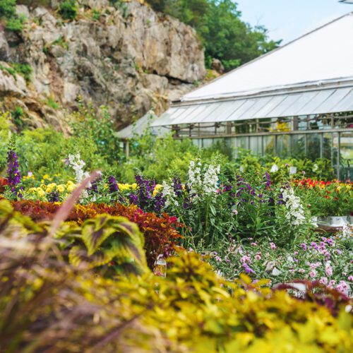 Mahoney's Garden Center Locations | Mahoney's Garden Center