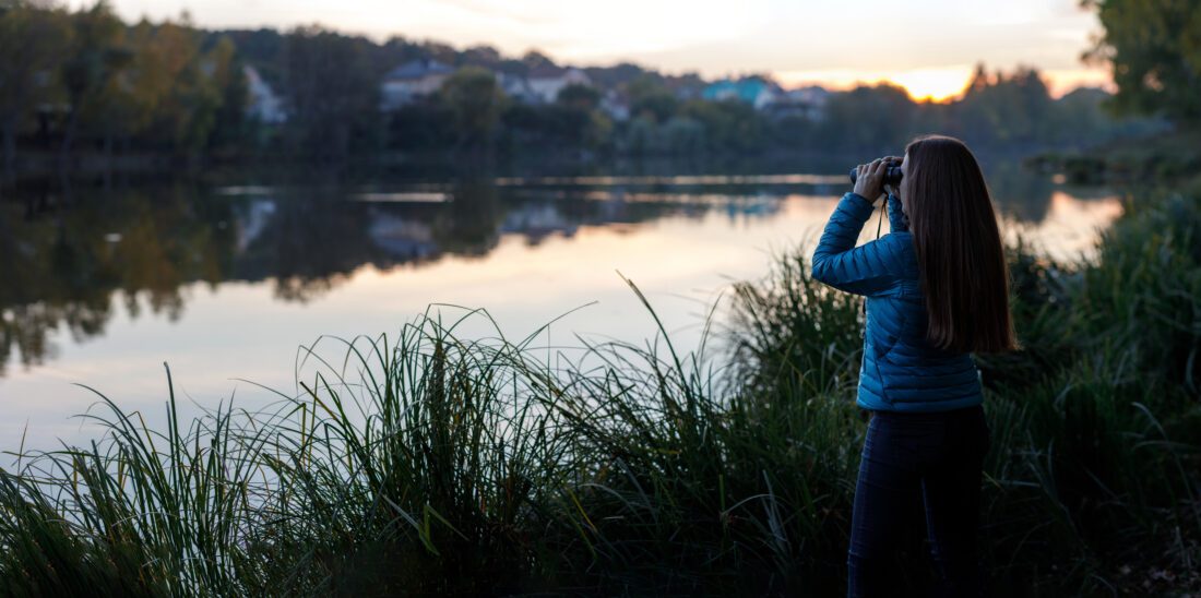 Fall Birding in Massachusetts: Best Time for Birdwatching - Blog ...