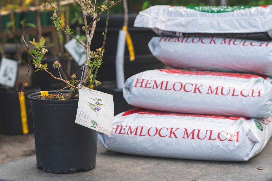 Mulch: Your Garden's Best Friend for Winter Protection