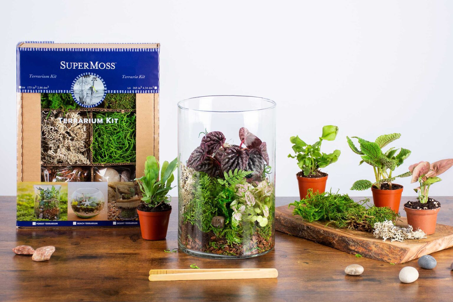Building a Terrarium with KidsGardening - Mahoney's Garden Center