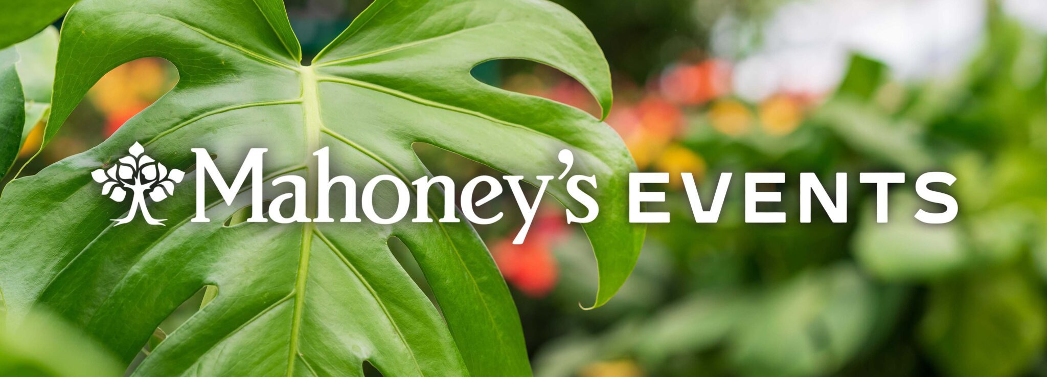 Mahoney's Events - Mahoney's Garden Center