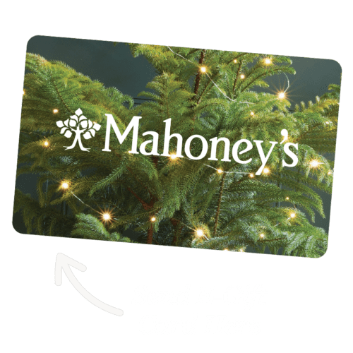 About Mahoney's Garden Center - Family-Run Since 1959