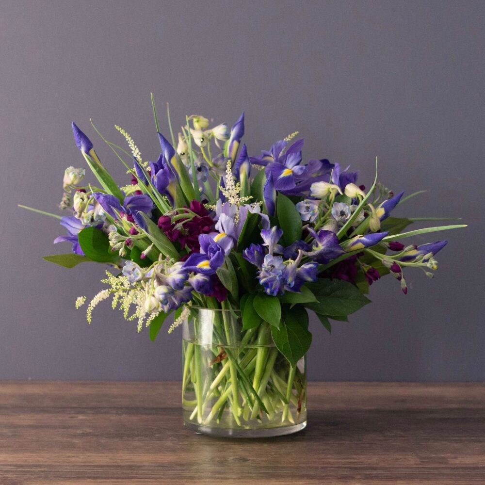 The Beauty of Birth Month Flowers & Their Meaning - Mahoney's Garden Center