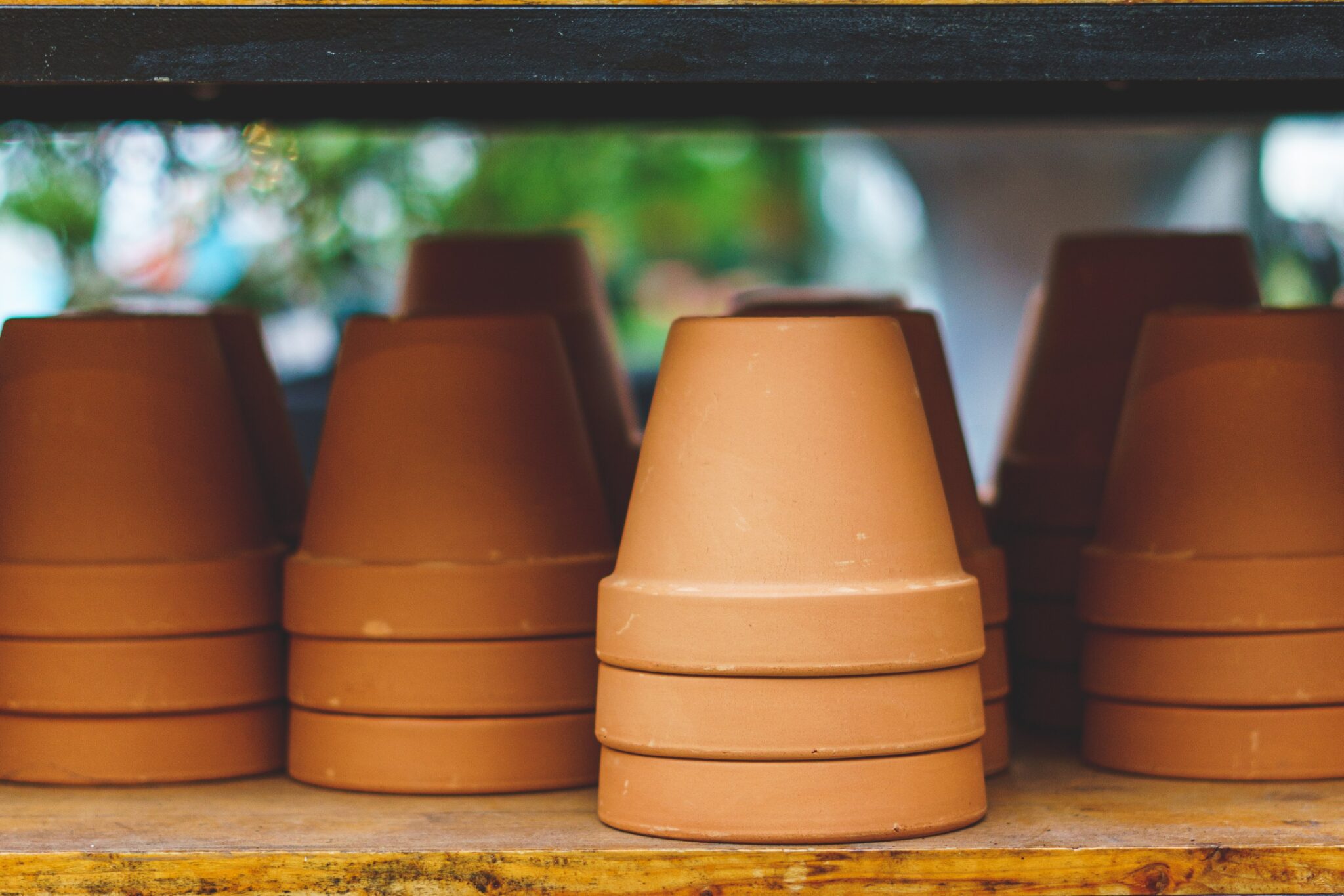 Why Terracotta Pots Are a Must-Have for Plant Lovers - Blog- Mahoney's ...
