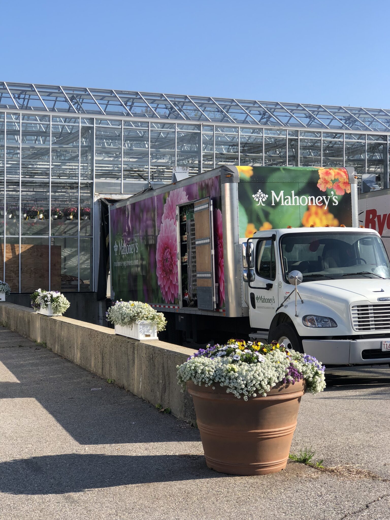 Locally-Grown Plants & Flowers - Mahoney's Garden Center