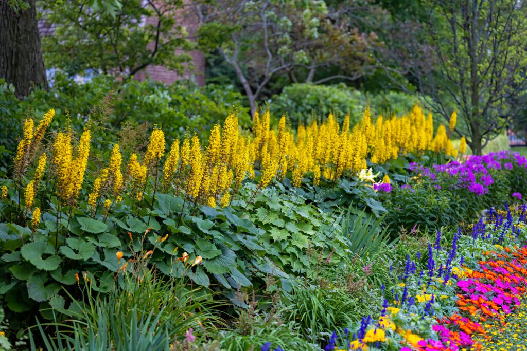 Perennials That Thrive in Wet Gardens