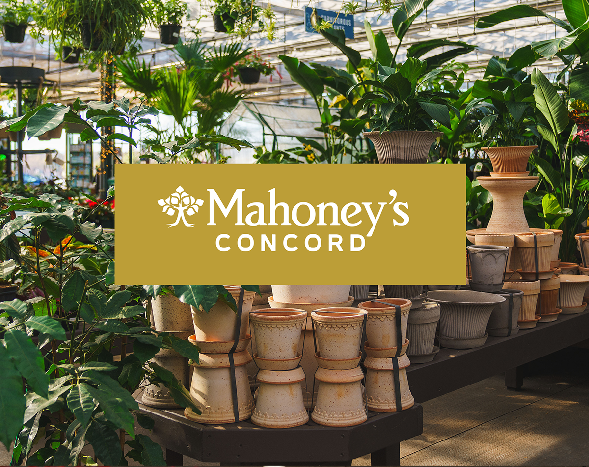Concord Garden Center | Mahoney's Garden Center